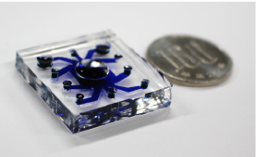 Sensing Platform for Studying In Vitro Vascular Systems Opens ...